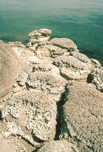 The Tufas of Pyramid Lake, Nevada