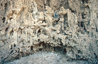The Tufas of Pyramid Lake, Nevada