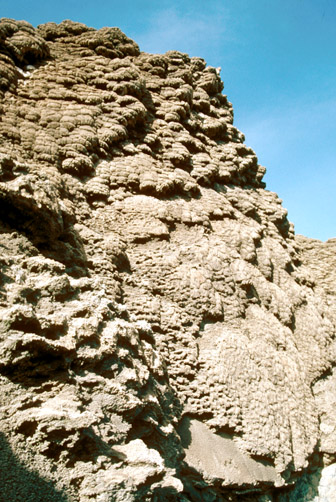 The Tufas of Pyramid Lake, Nevada