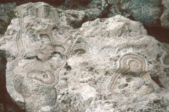 The Tufas of Pyramid Lake, Nevada