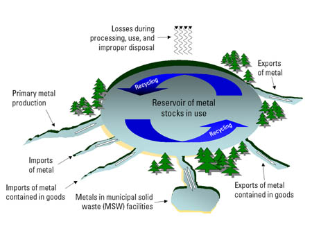 Diagrams Of Freshwater Lake Ecosystems