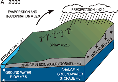 Effects of Spray-Irrigated Municipal Wastewater on a Small Watershed in ...