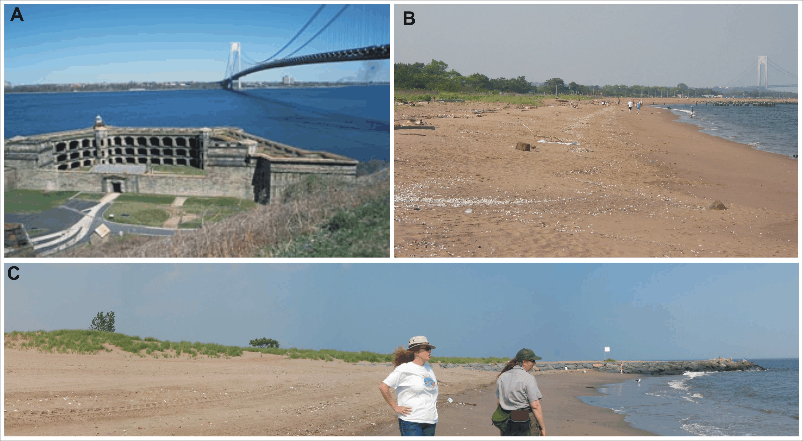 USGS Online Publications Directory