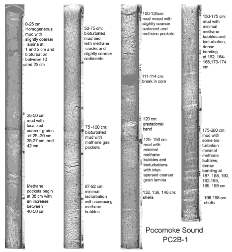 U.S. Geological Survey Open-File Report 2004-1350