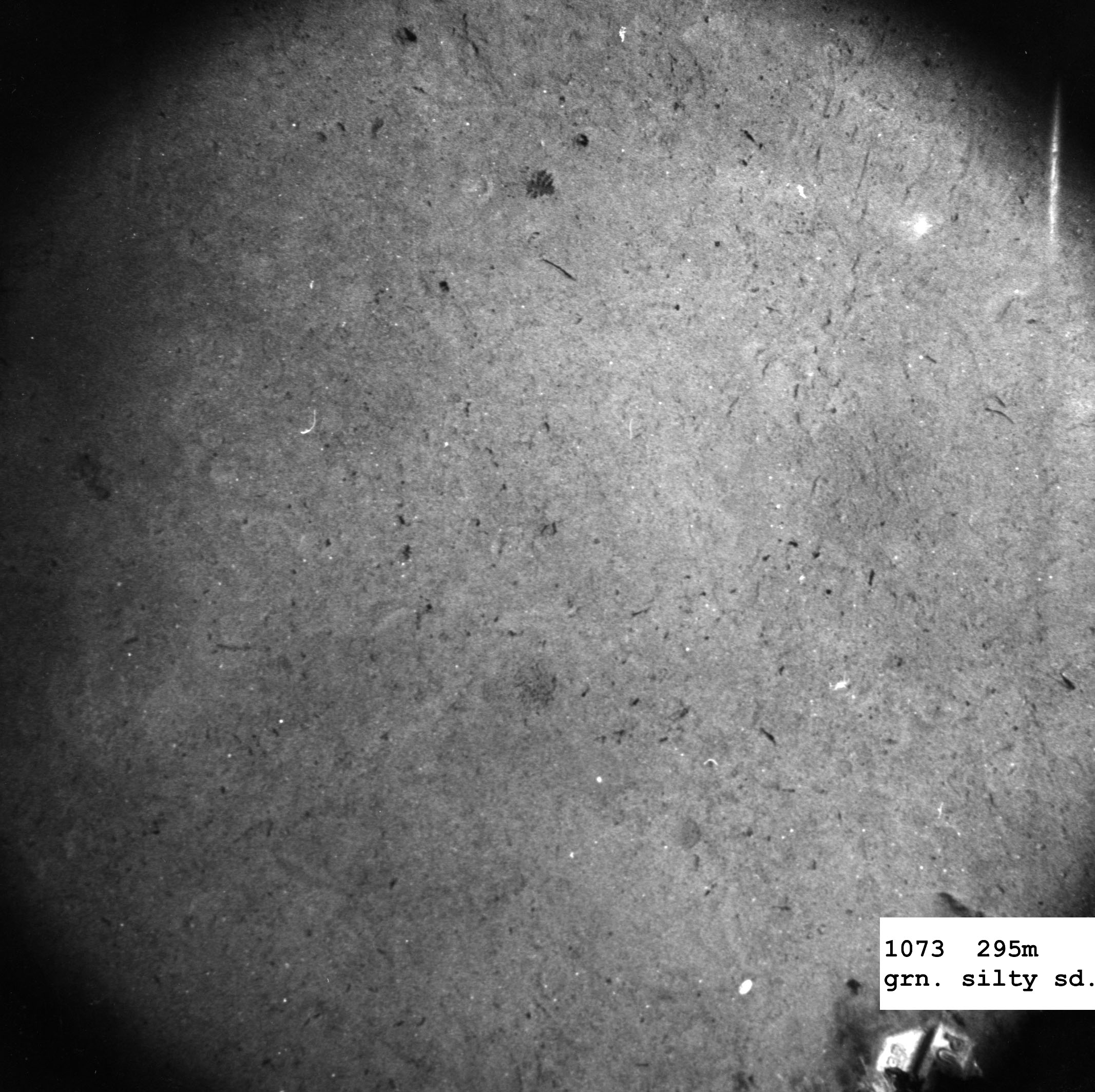 USGS Open-File Report 2006-1046: sea floor Photos