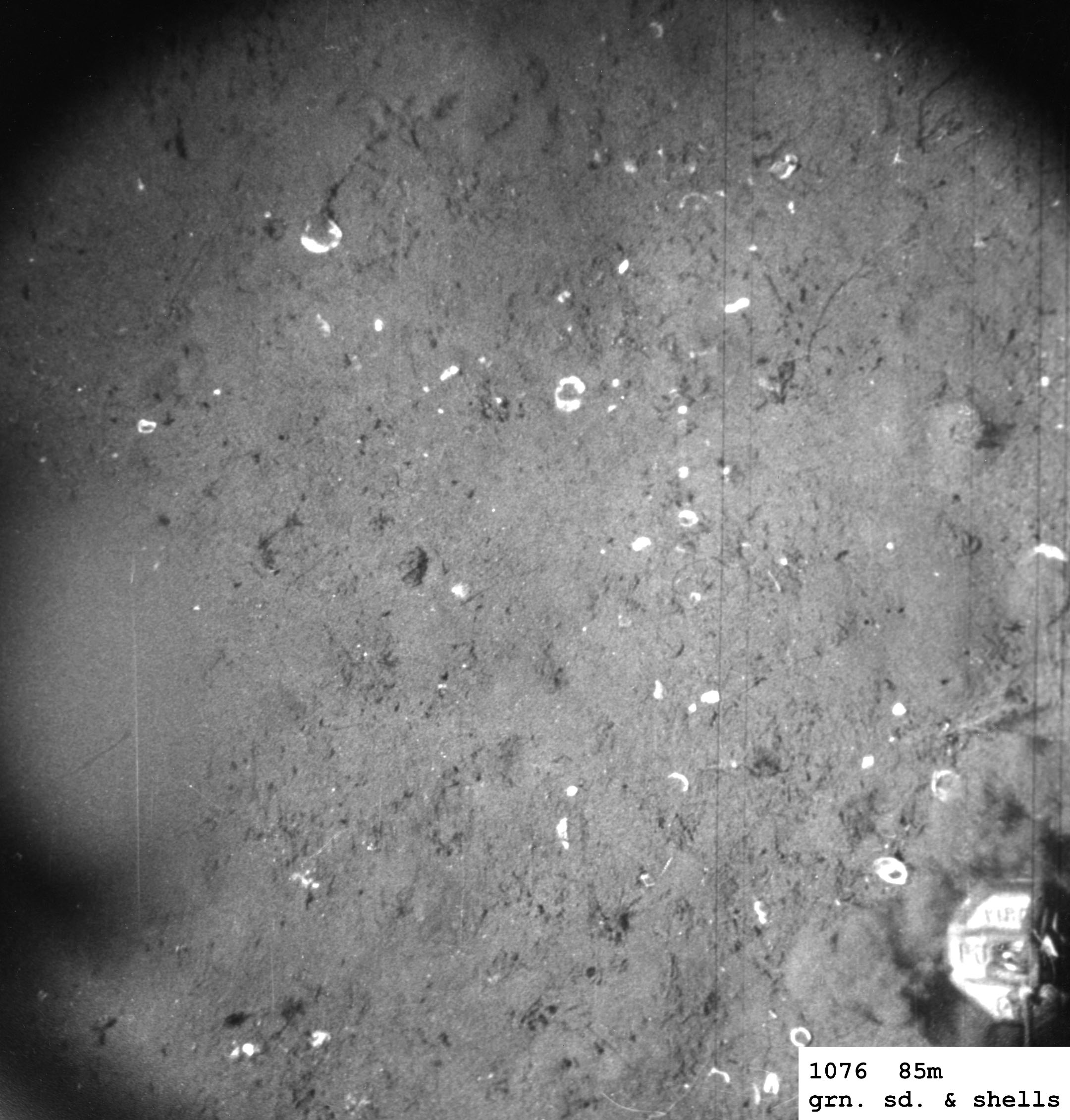 USGS Open-File Report 2006-1046: sea floor Photos