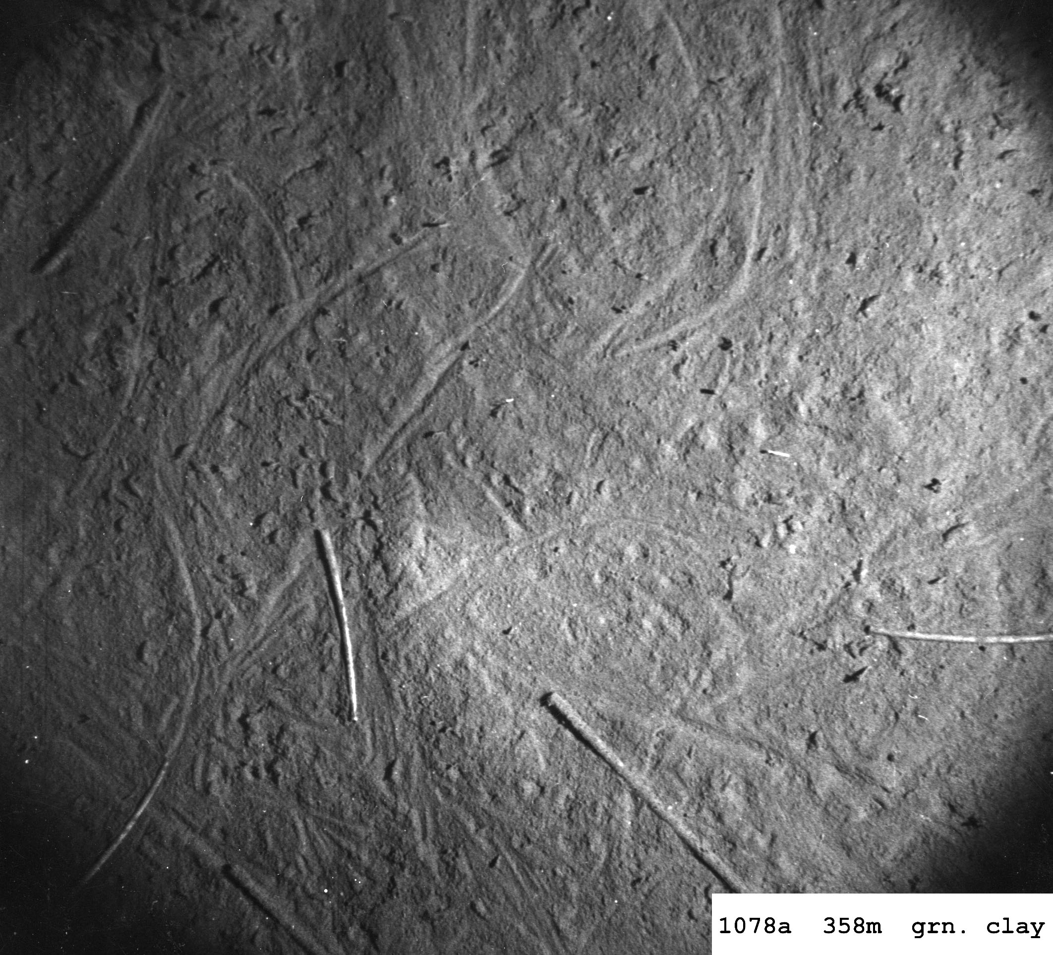 USGS Open-File Report 2006-1046: sea floor Photos