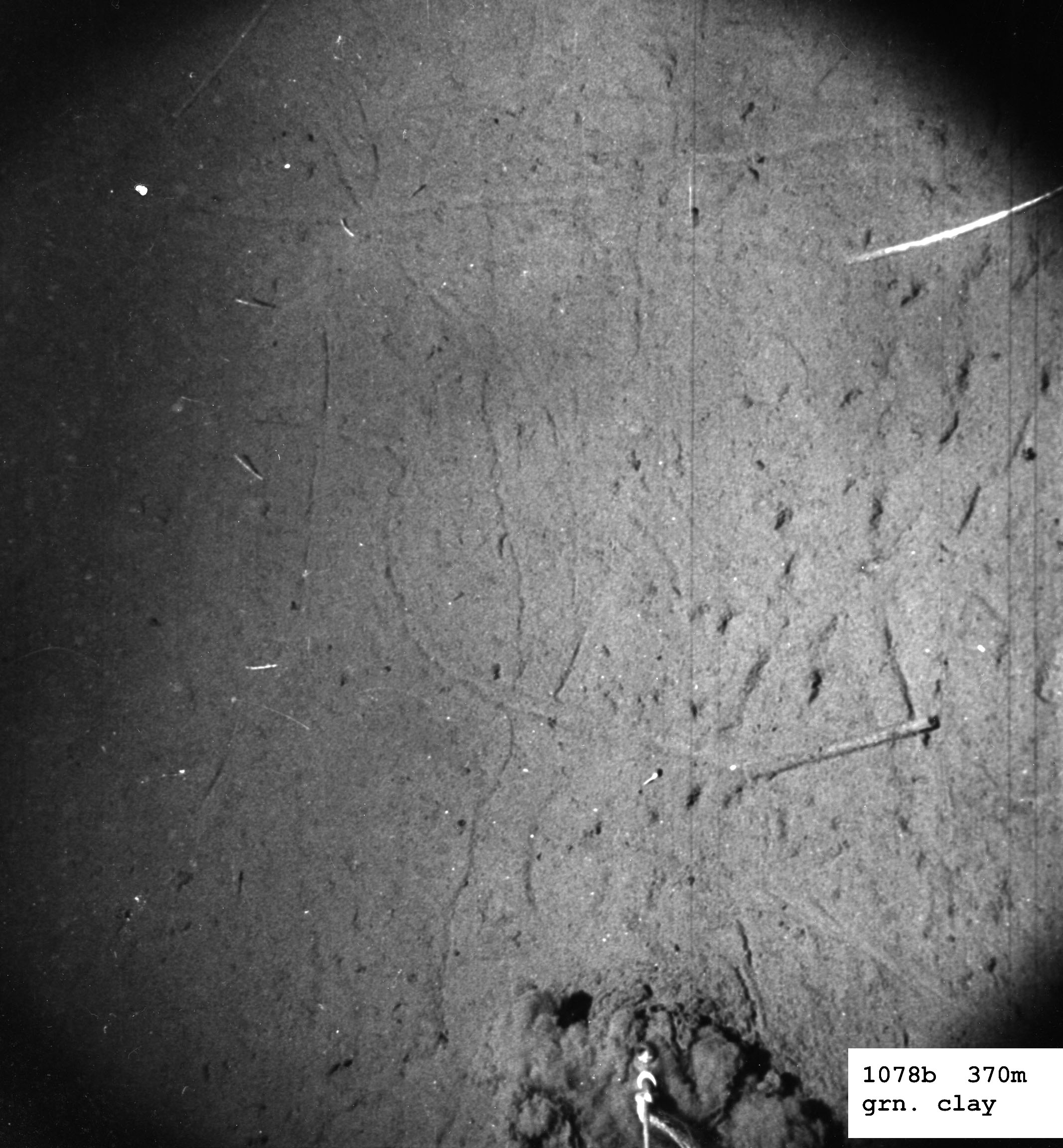 USGS Open-File Report 2006-1046: sea floor Photos