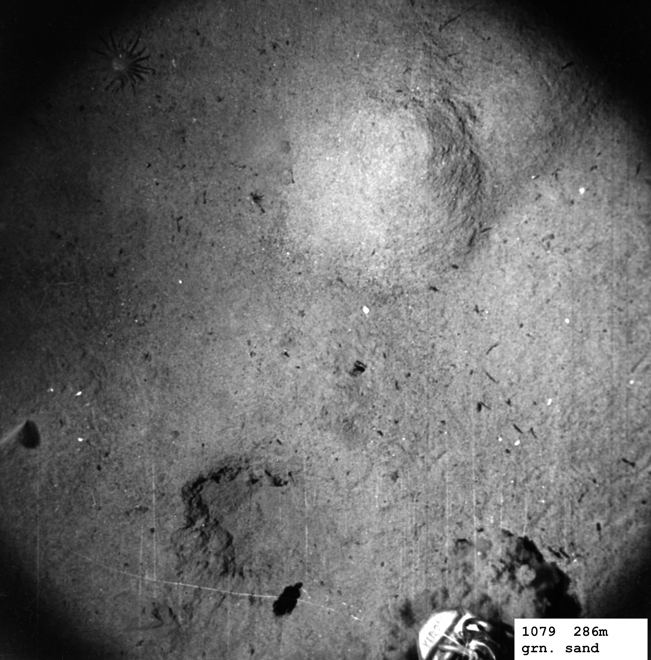 USGS Open-File Report 2006-1046: sea floor Photos