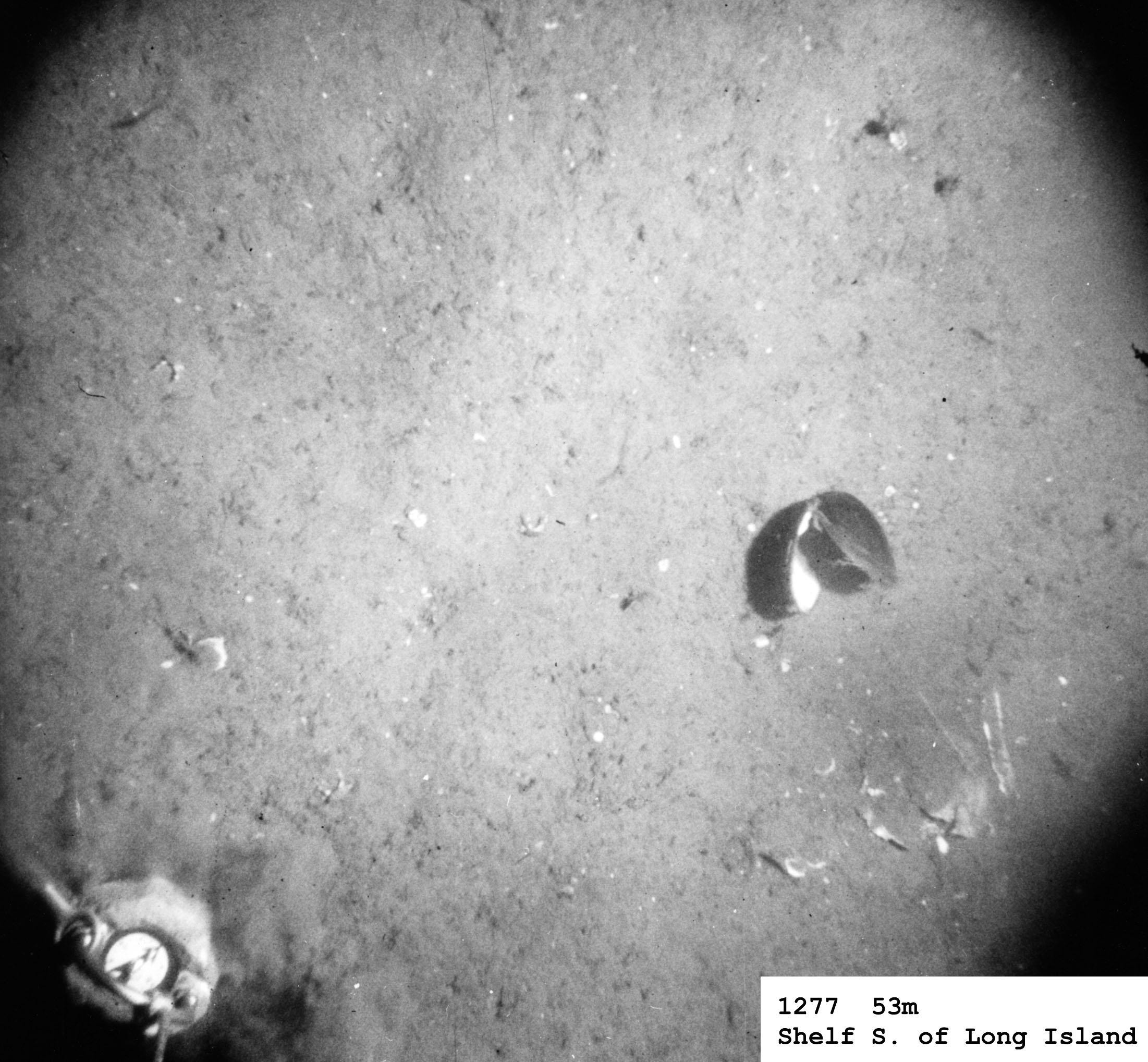 USGS Open-File Report 2006-1046: sea floor Photos