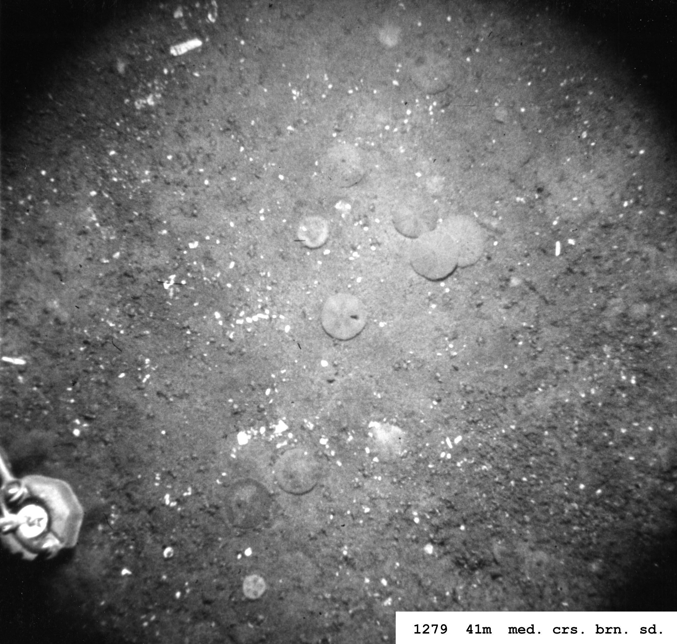 USGS Open-File Report 2006-1046: sea floor Photos