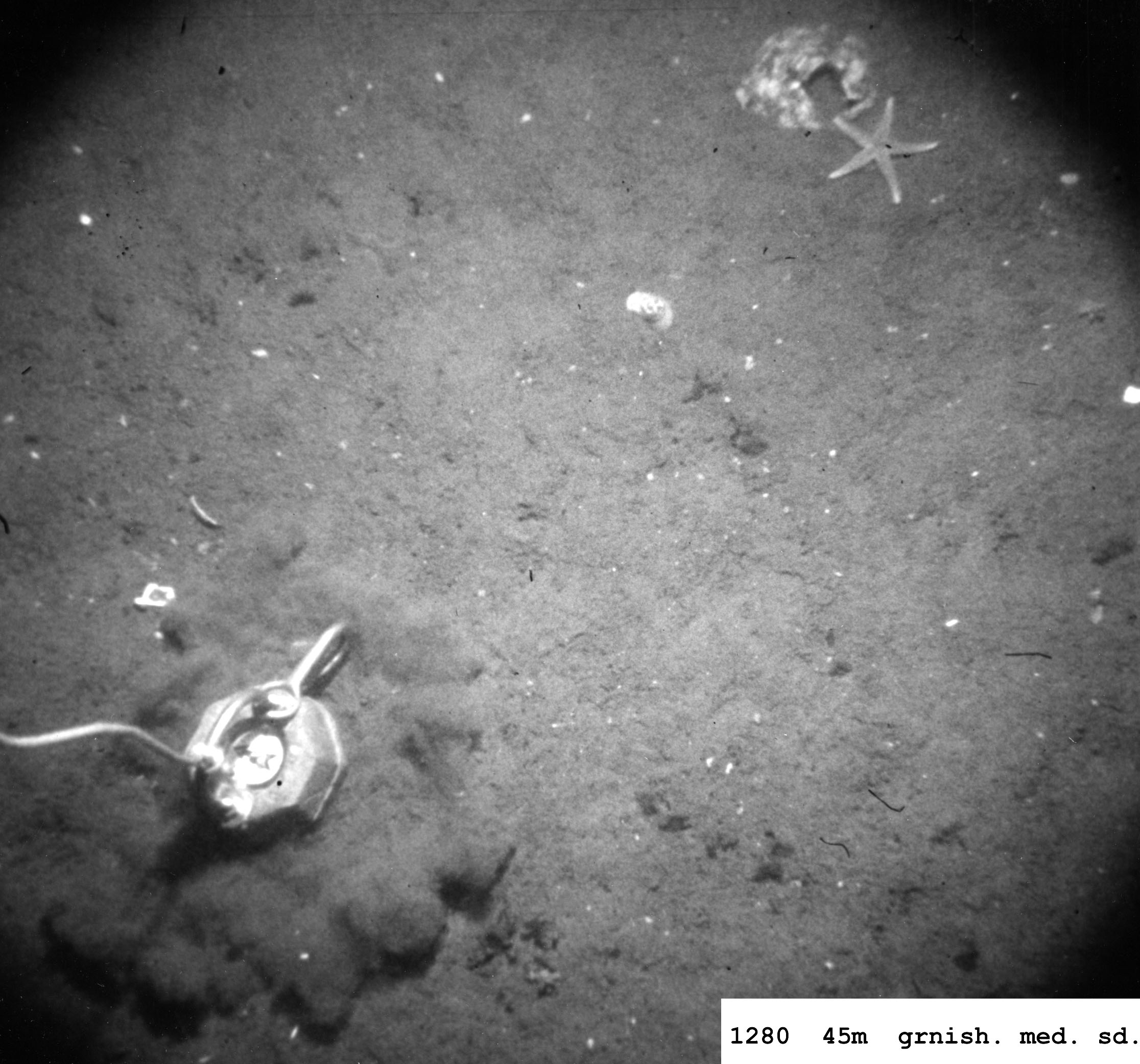 USGS Open-File Report 2006-1046: sea floor Photos