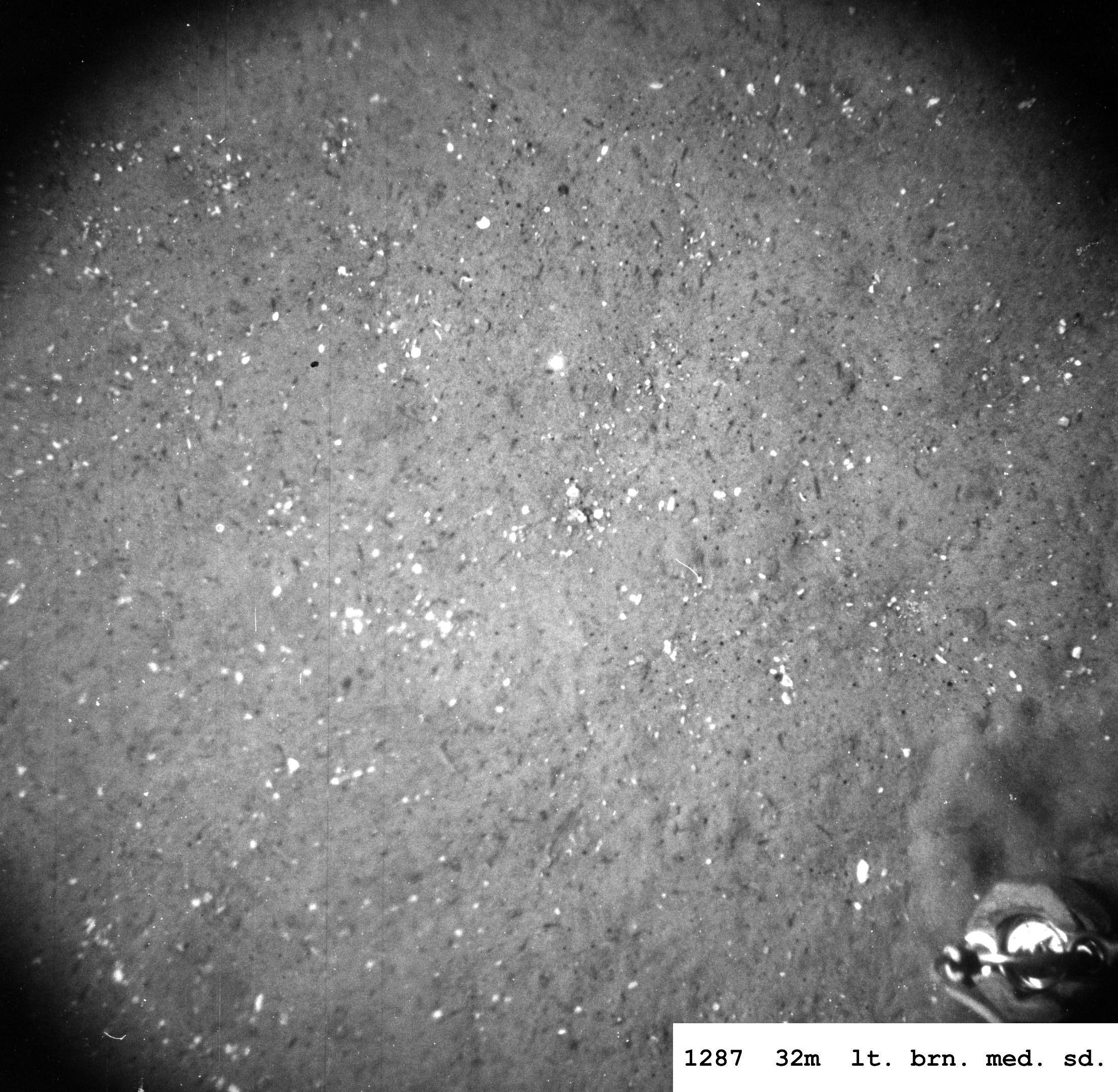 USGS Open-File Report 2006-1046: sea floor Photos