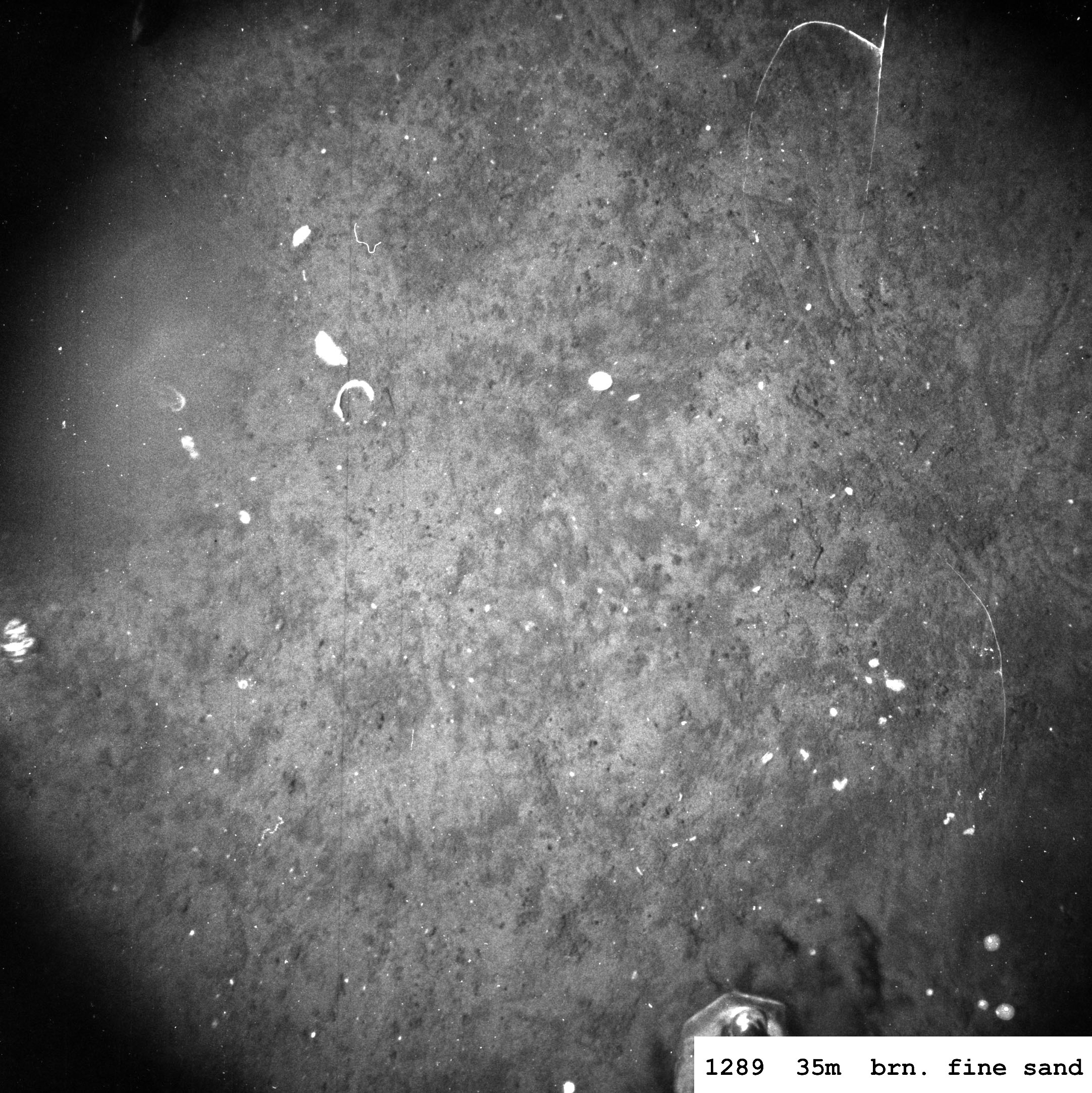 USGS Open-File Report 2006-1046: sea floor Photos