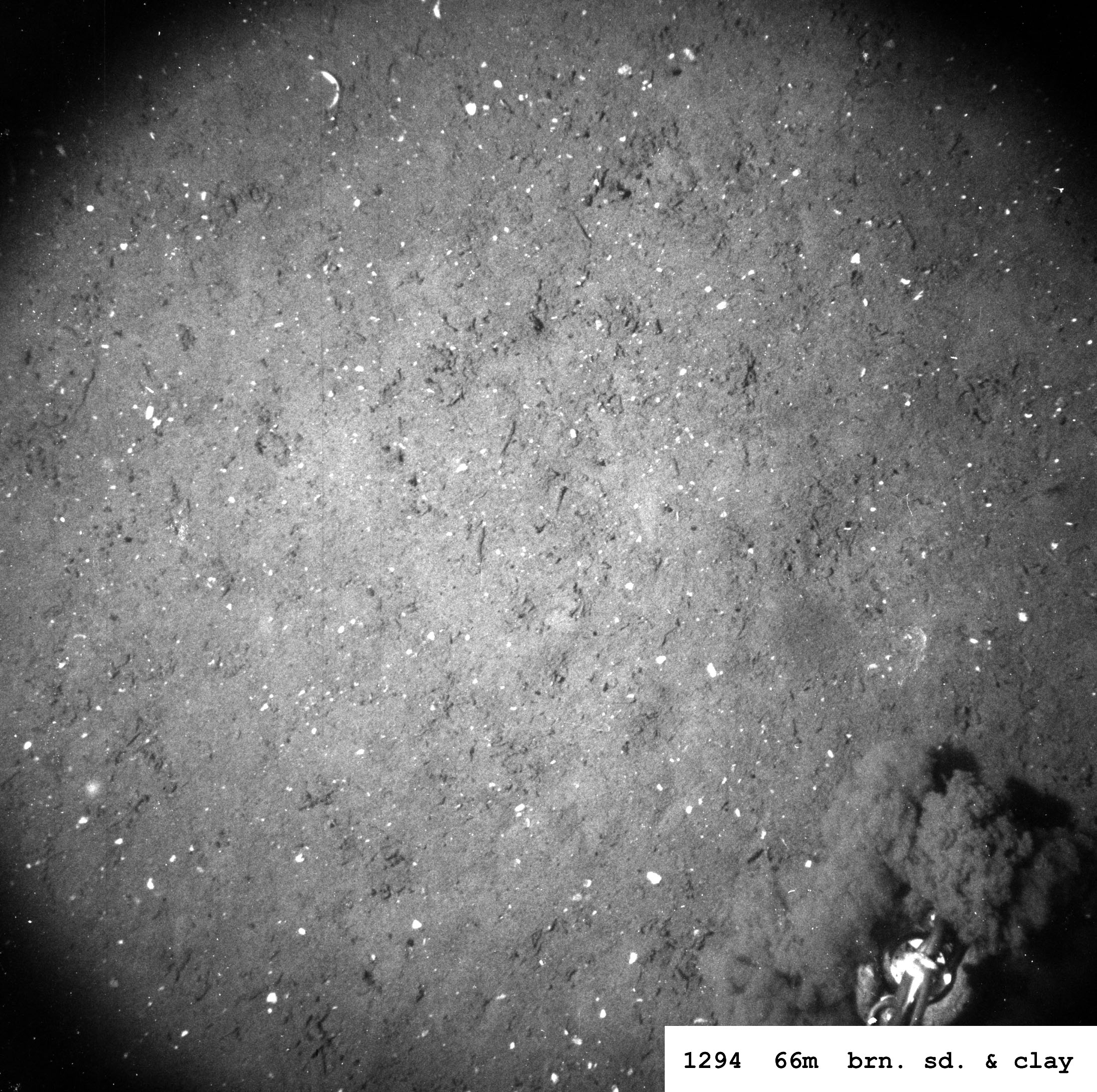 USGS Open-File Report 2006-1046: sea floor Photos