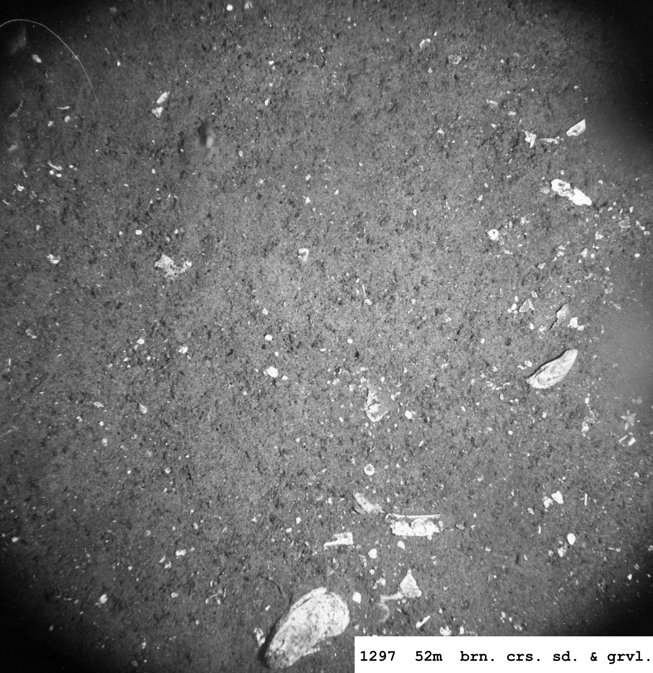 USGS Open-File Report 2006-1046: sea floor Photos