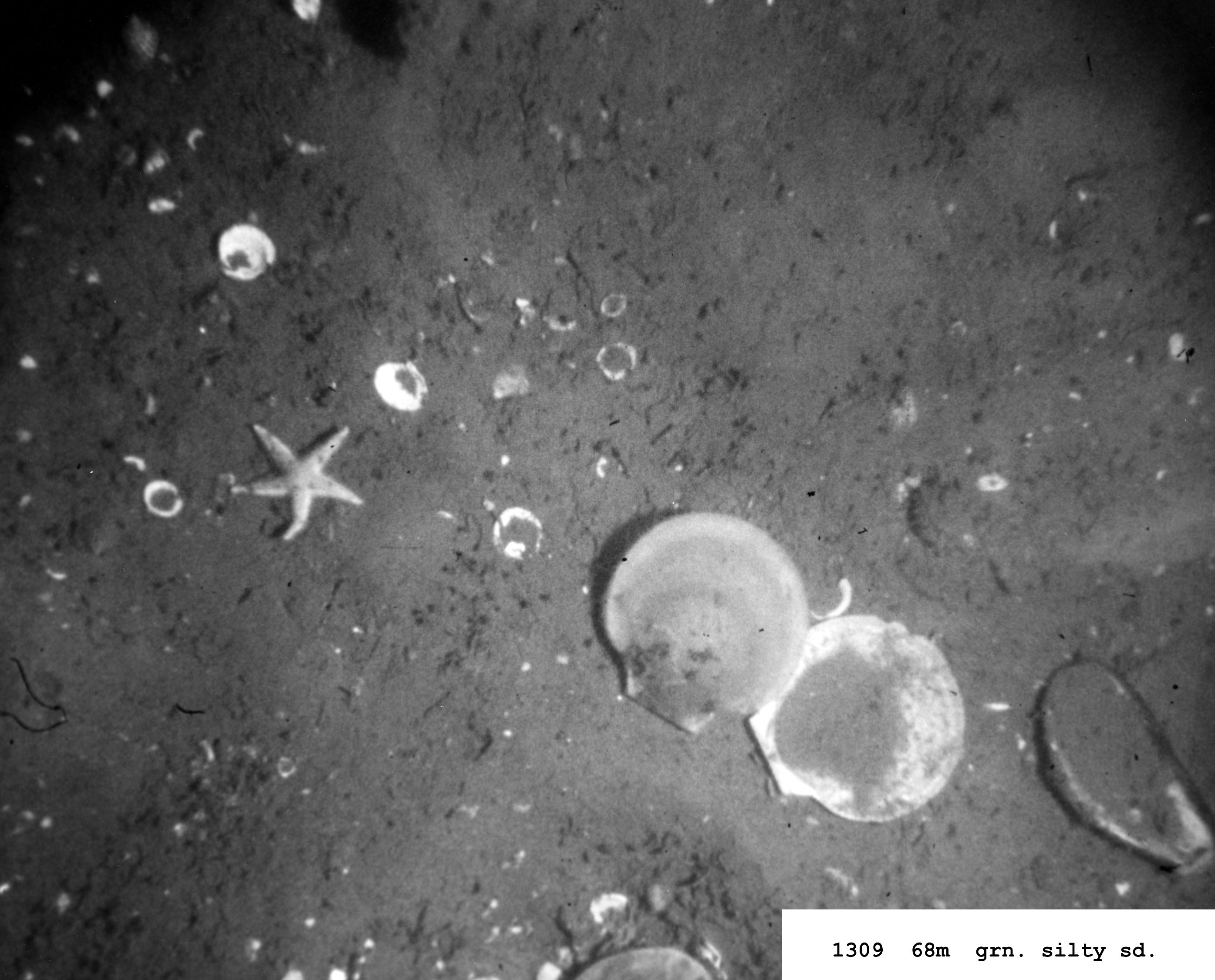 USGS Open-File Report 2006-1046: sea floor Photos