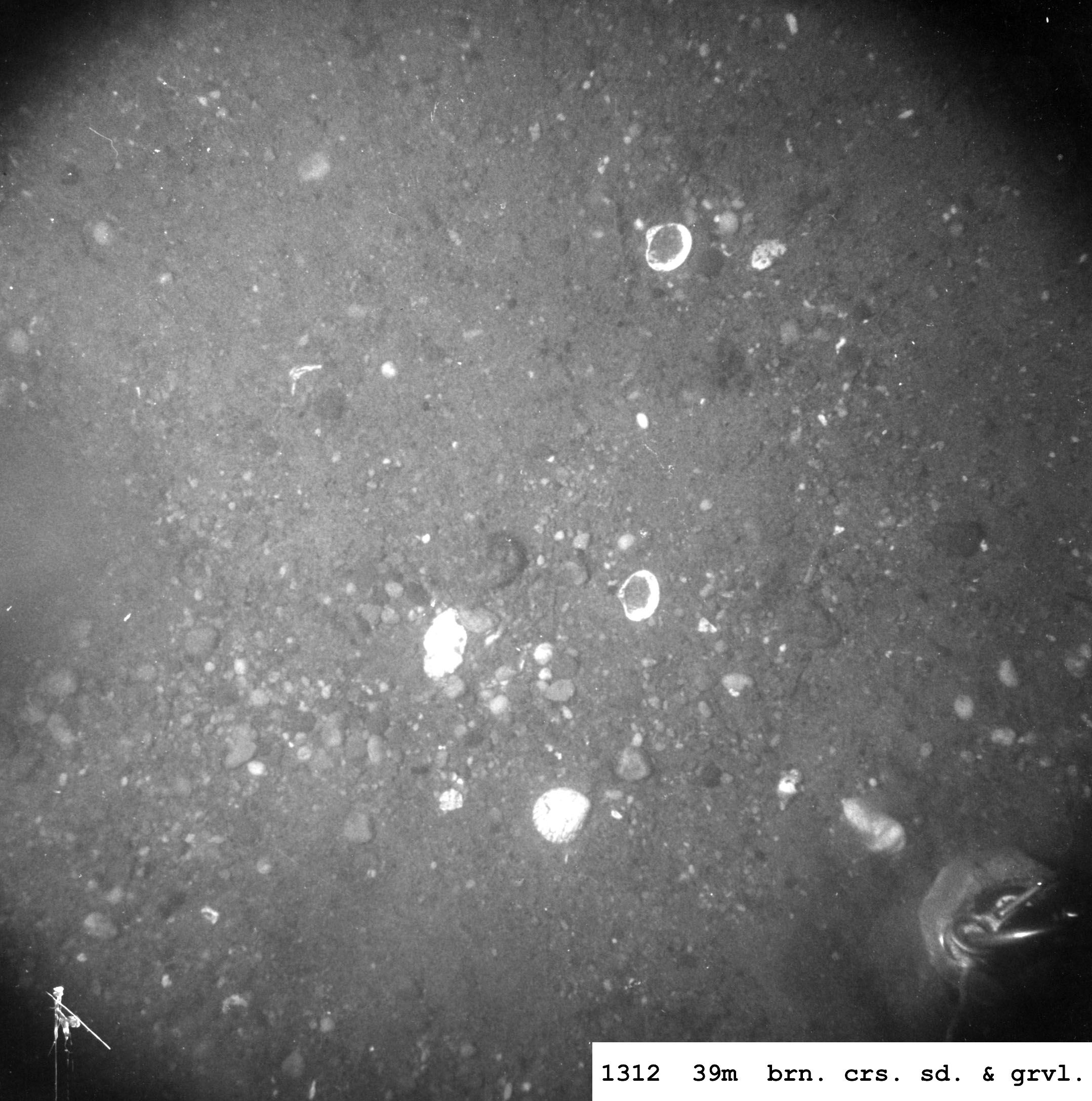 USGS Open-File Report 2006-1046: sea floor Photos