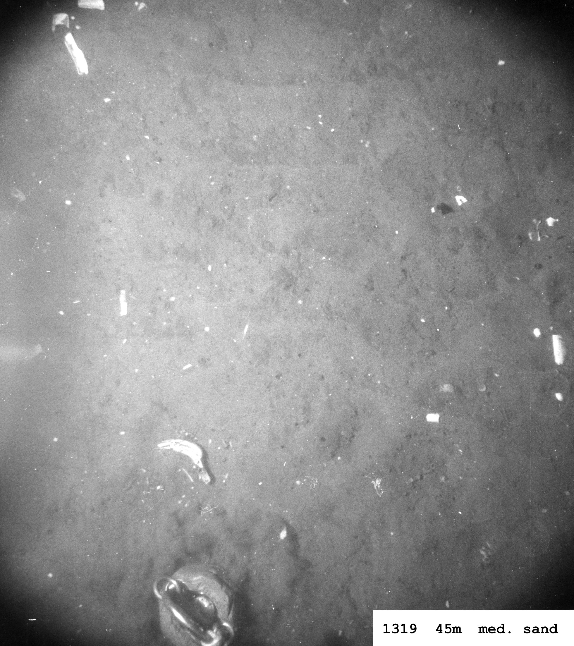 USGS Open-File Report 2006-1046: sea floor Photos