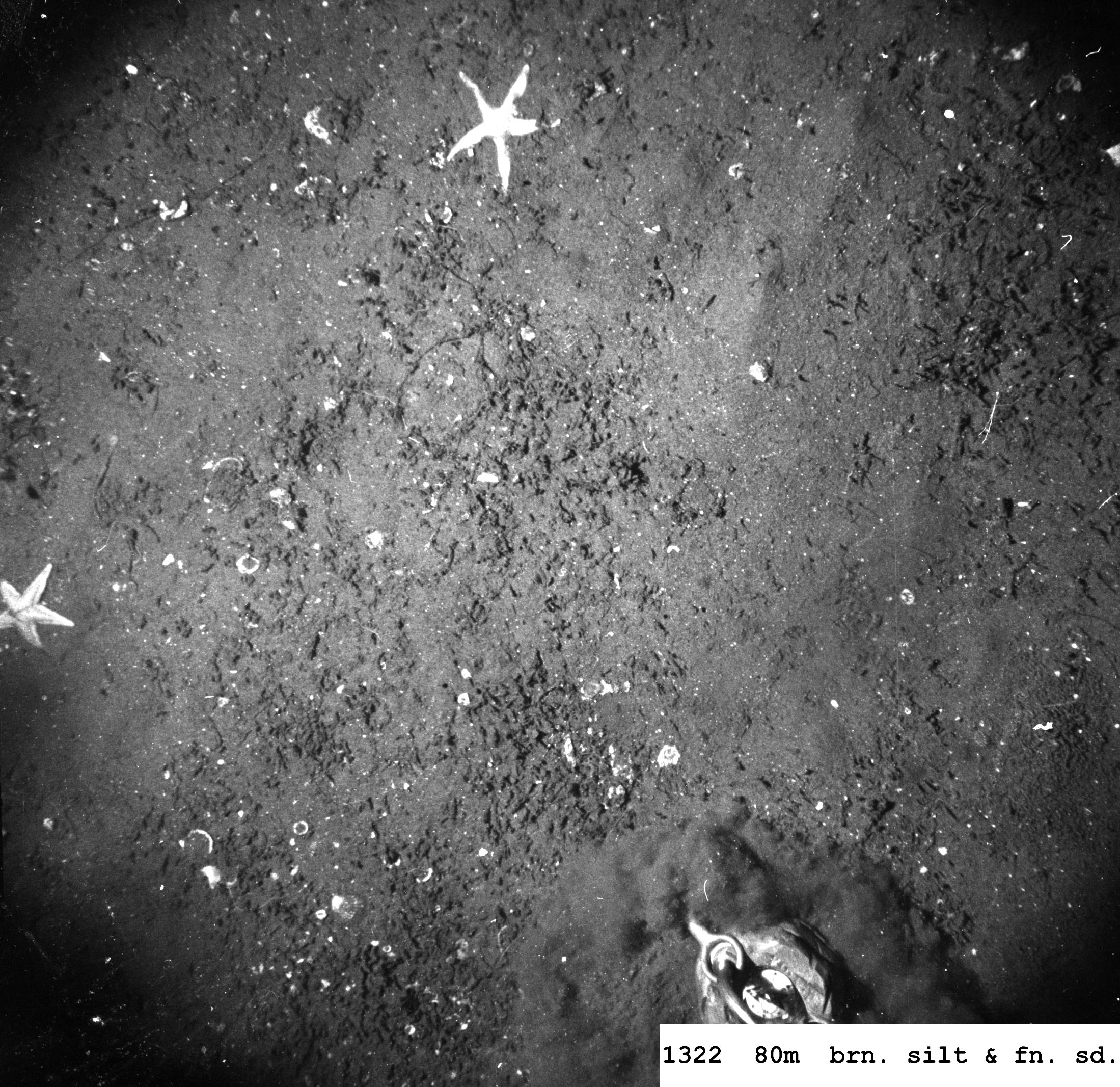 USGS Open-File Report 2006-1046: sea floor Photos