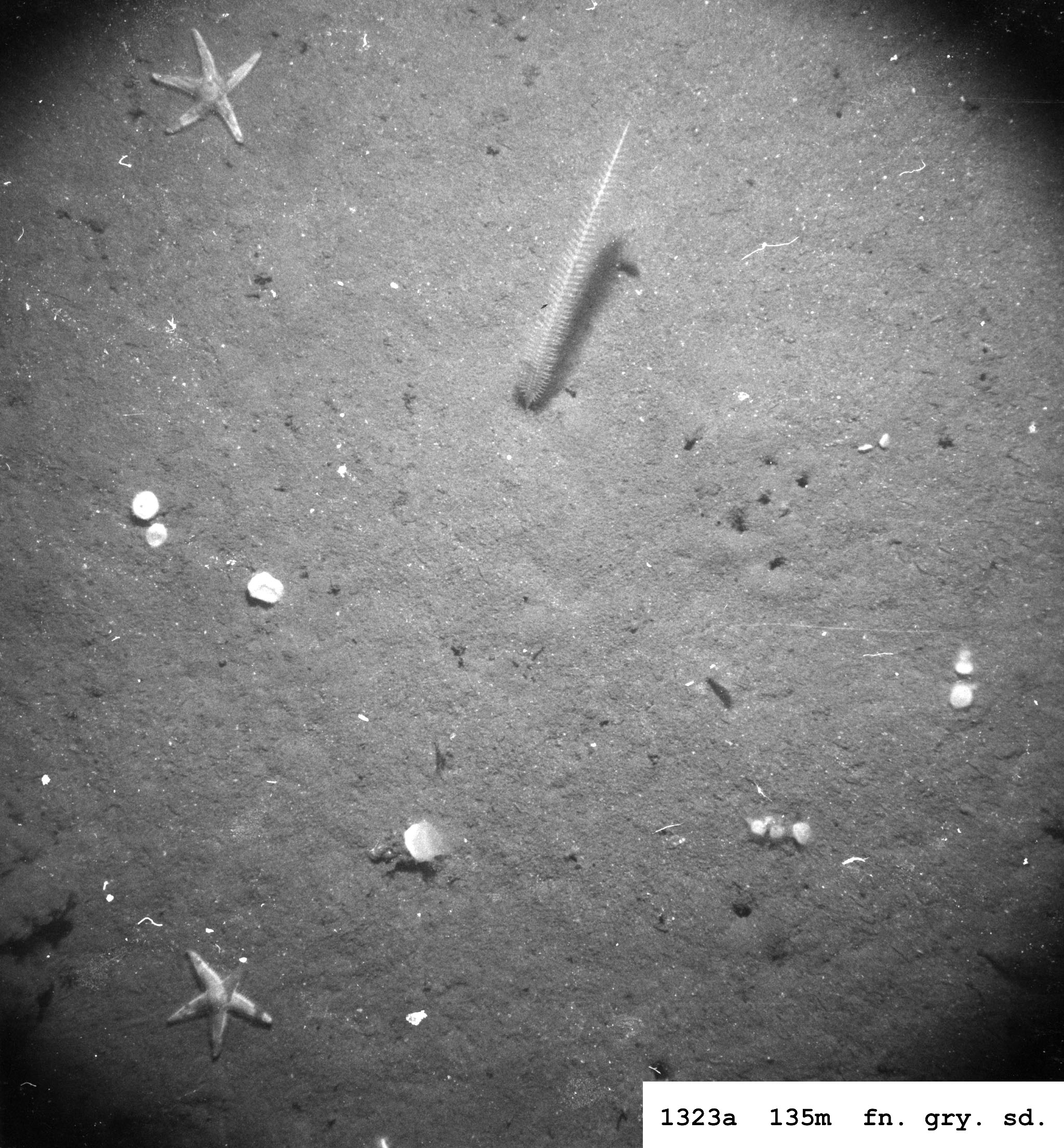 USGS Open-File Report 2006-1046: sea floor Photos