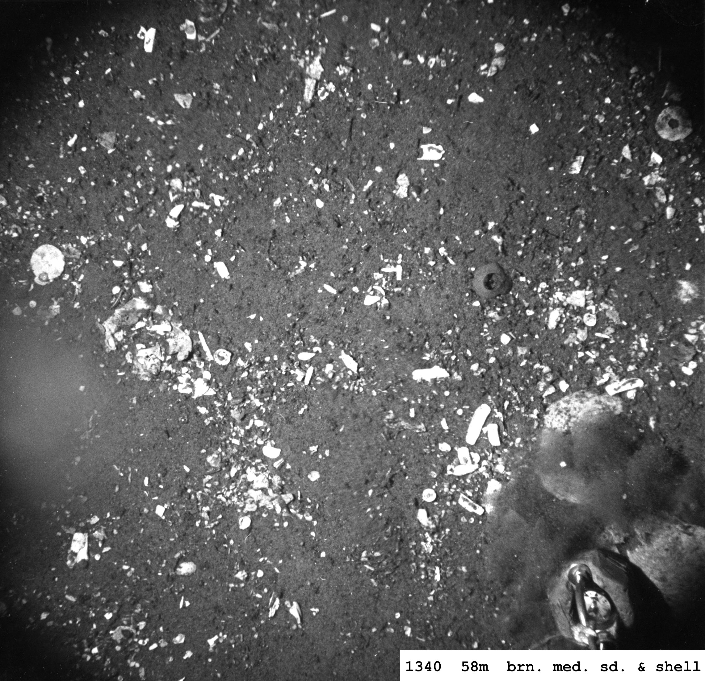 USGS Open-File Report 2006-1046: sea floor Photos