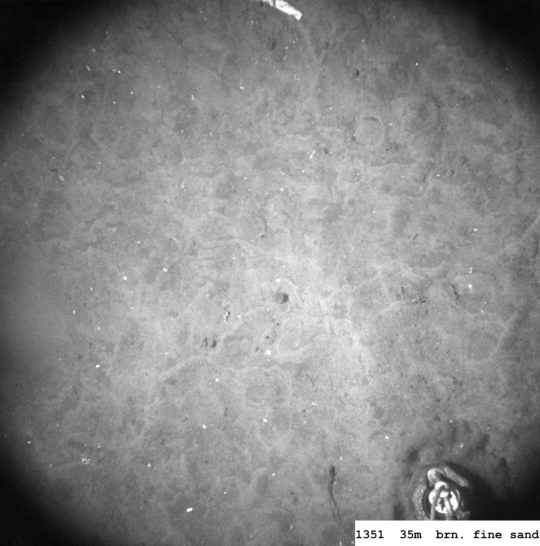 USGS Open-File Report 2006-1046: sea floor Photos