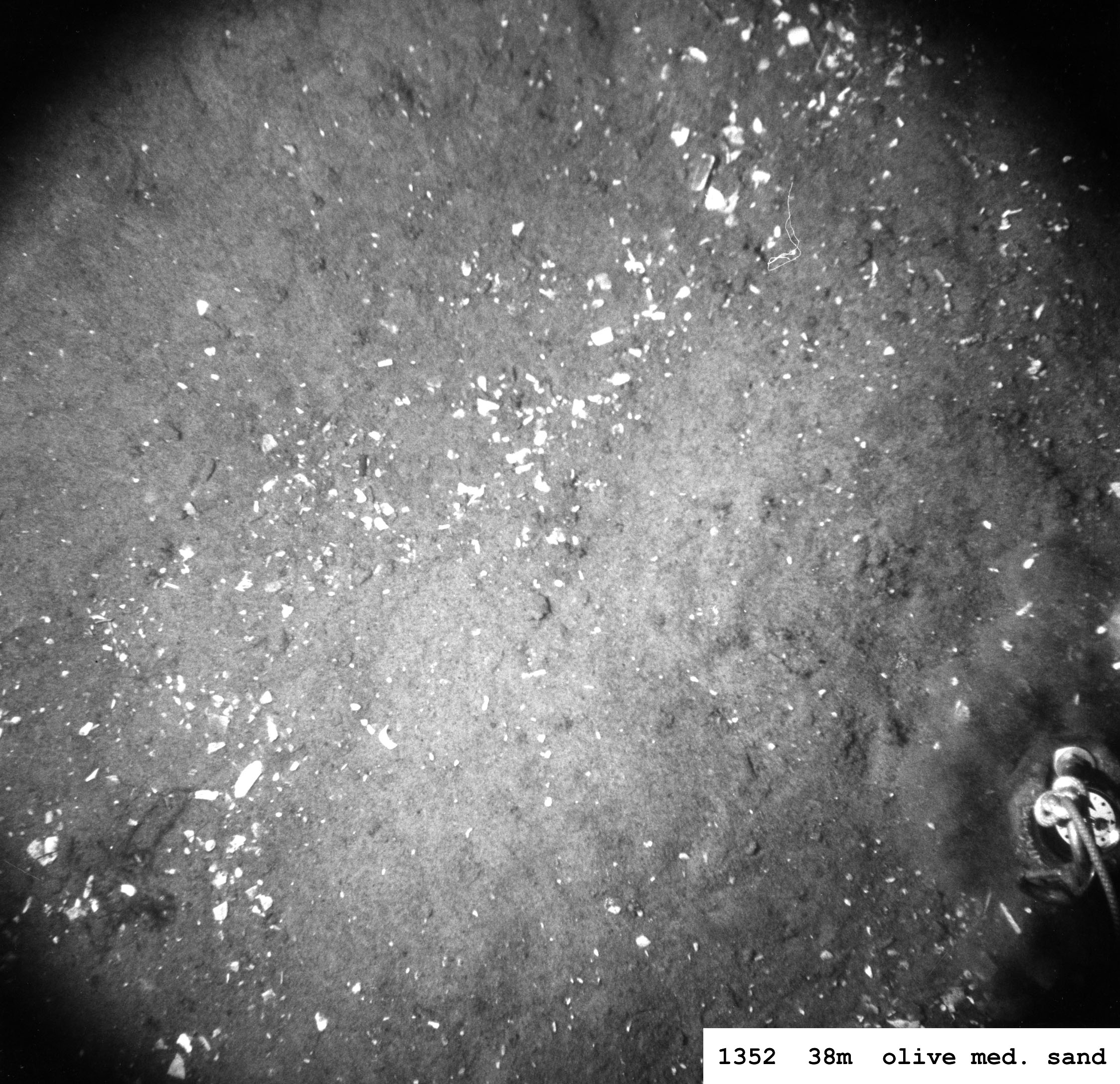 USGS Open-File Report 2006-1046: sea floor Photos