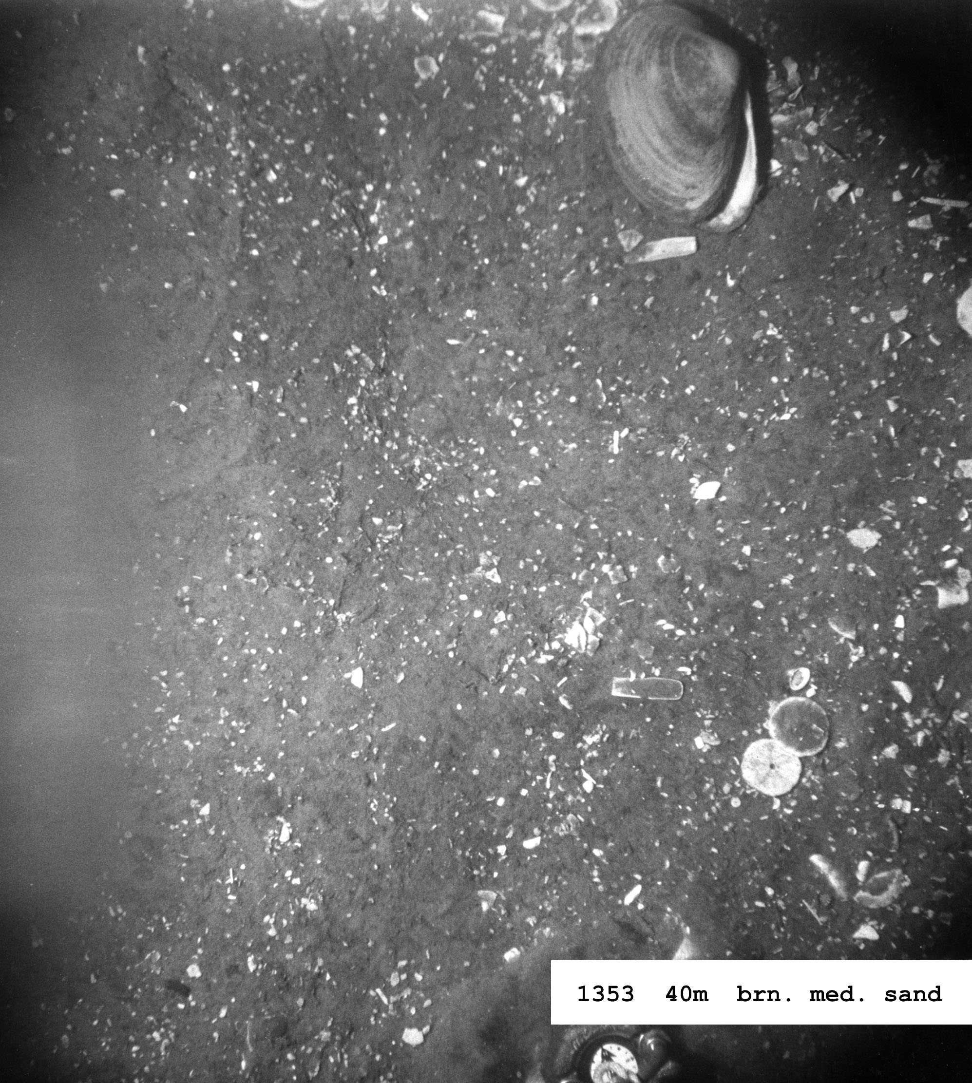 USGS Open-File Report 2006-1046: sea floor Photos