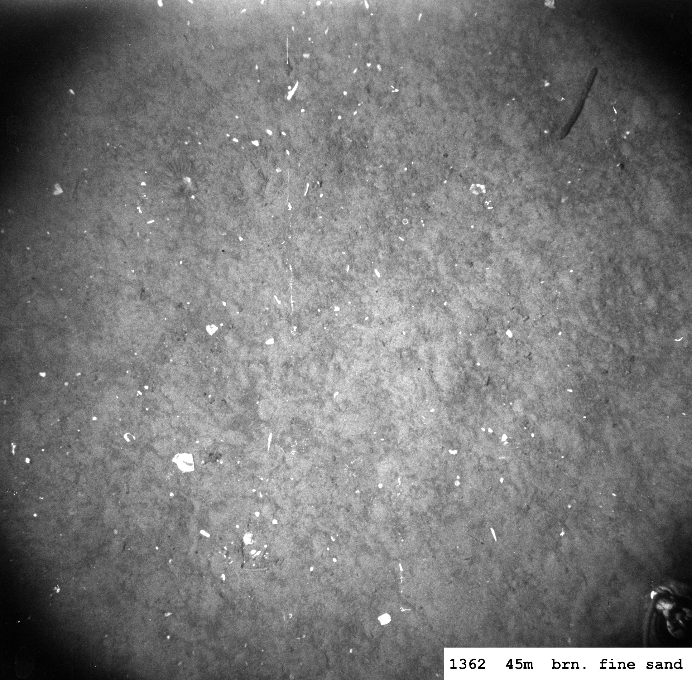 USGS Open-File Report 2006-1046: sea floor Photos