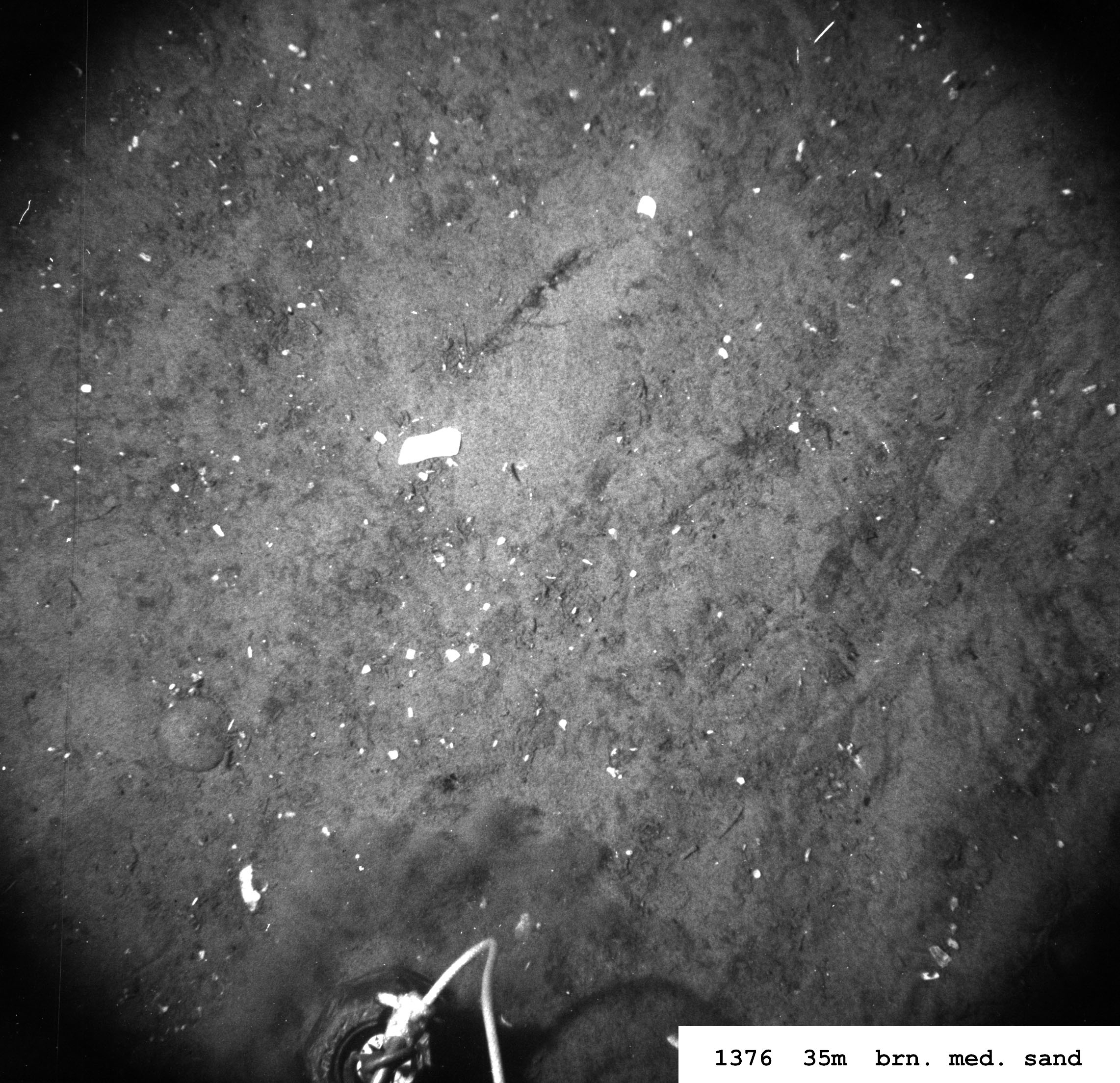 USGS Open-File Report 2006-1046: sea floor Photos