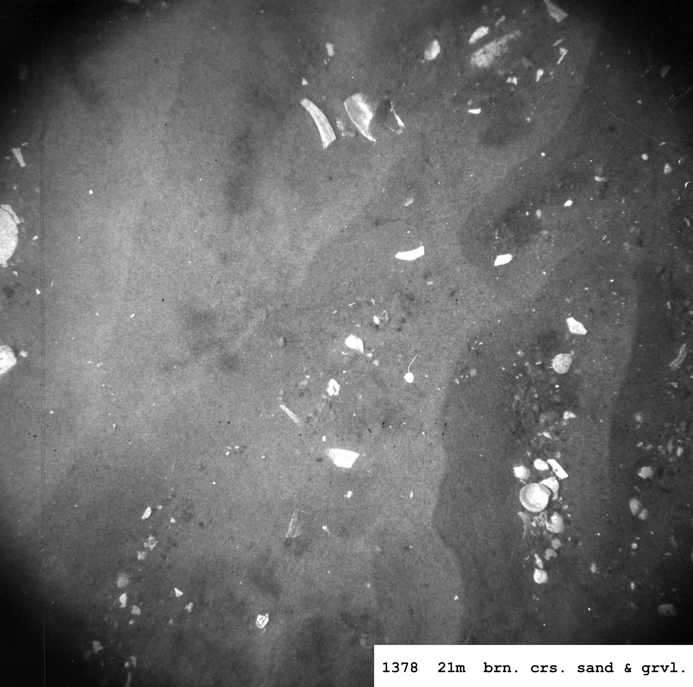 USGS Open-File Report 2006-1046: sea floor Photos