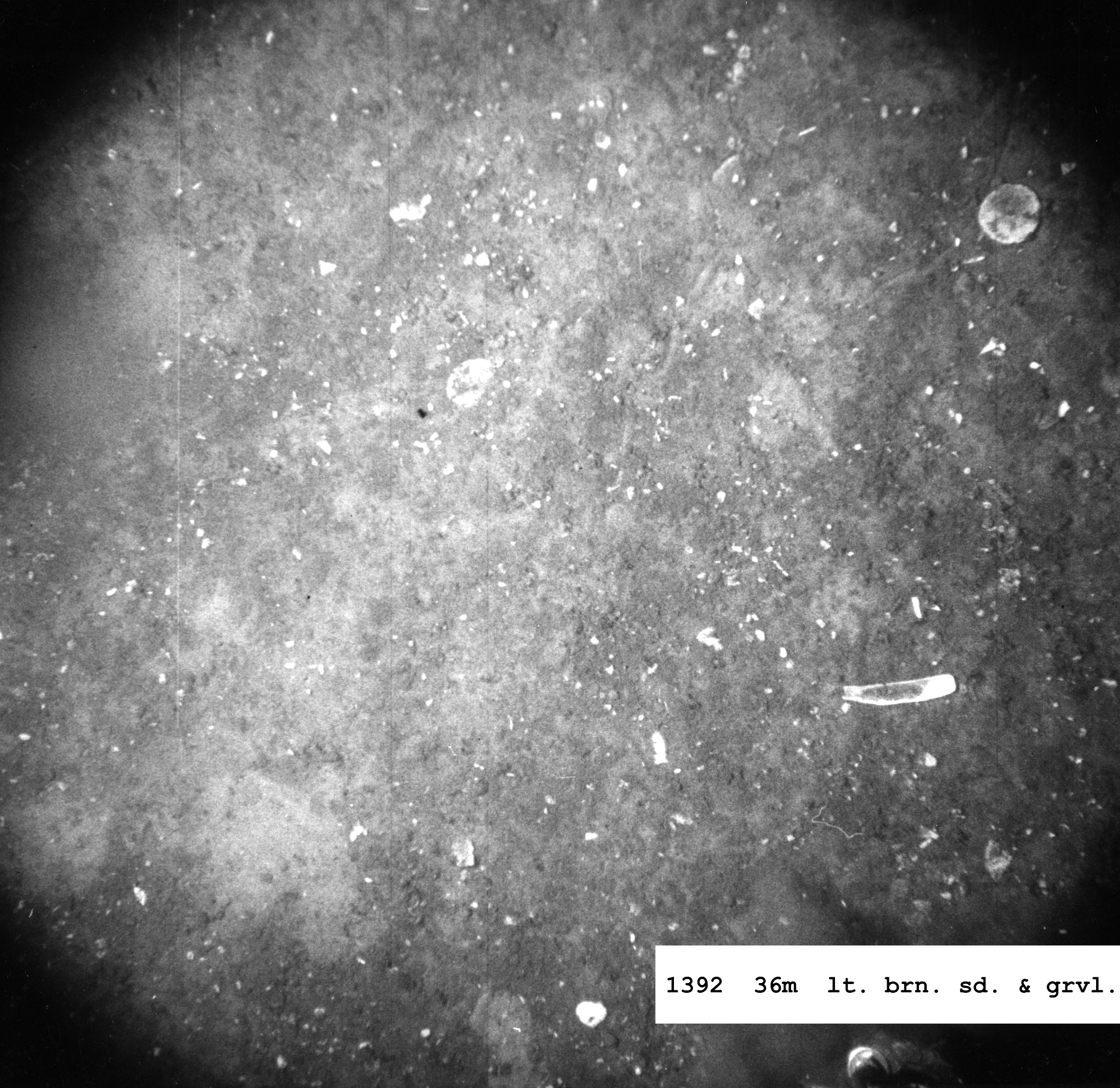 USGS Open-File Report 2006-1046: sea floor Photos