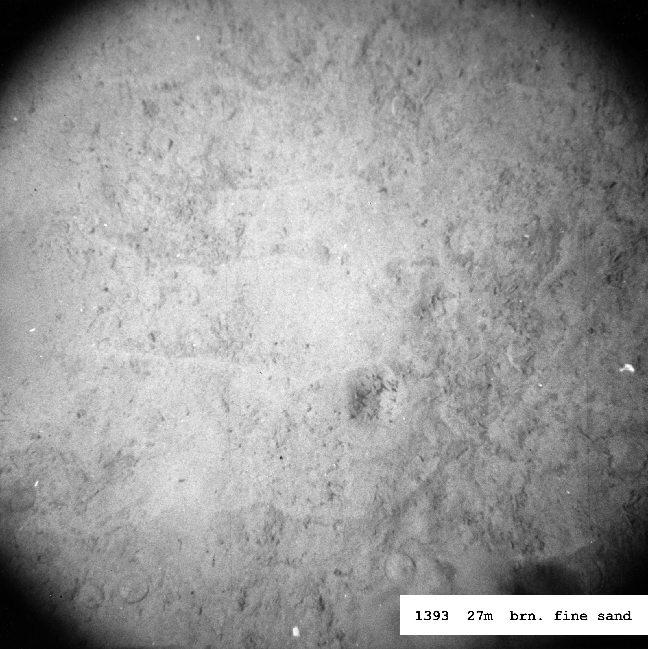 USGS Open-File Report 2006-1046: sea floor Photos