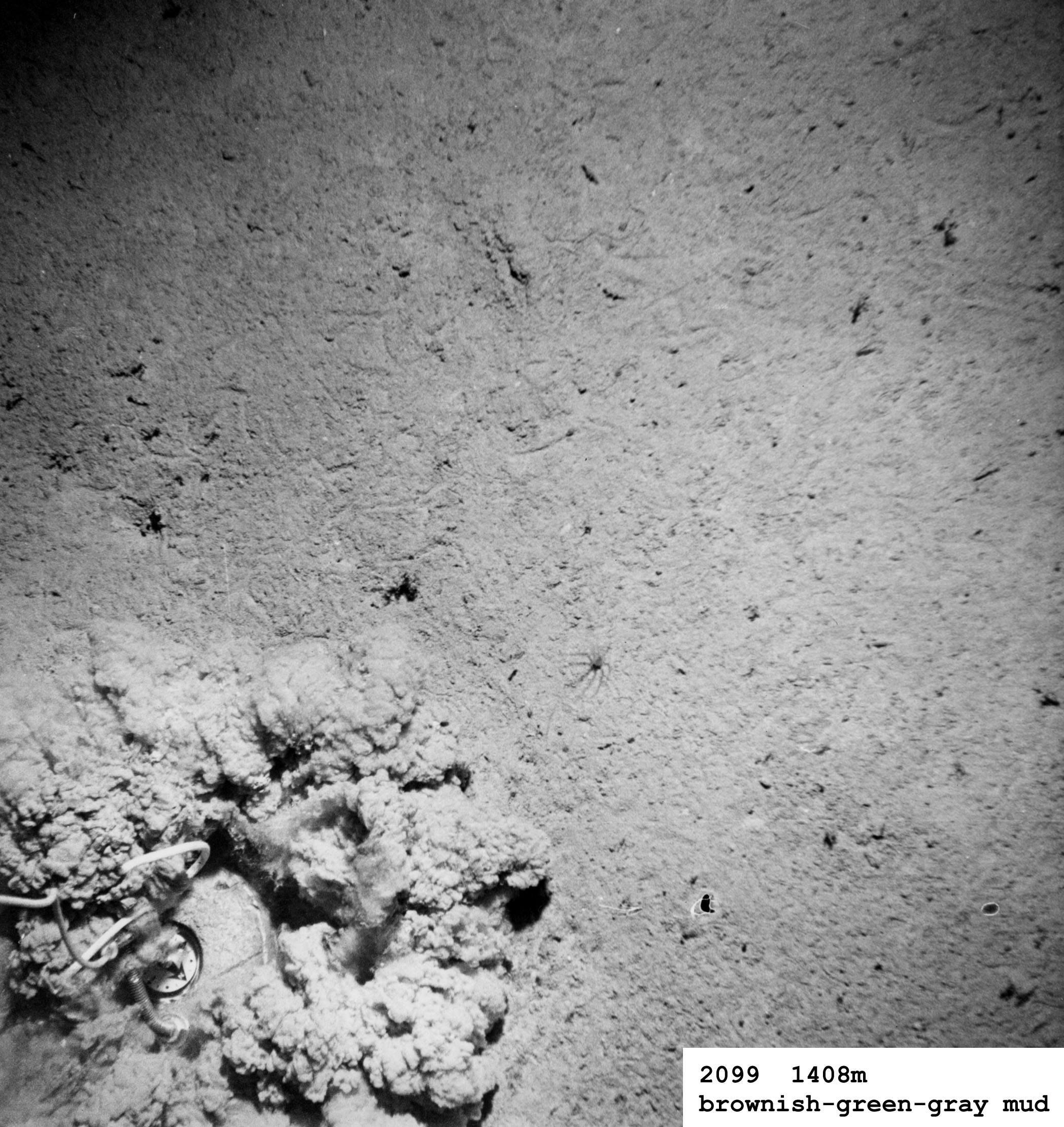 USGS Open-File Report 2006-1046: sea floor Photos