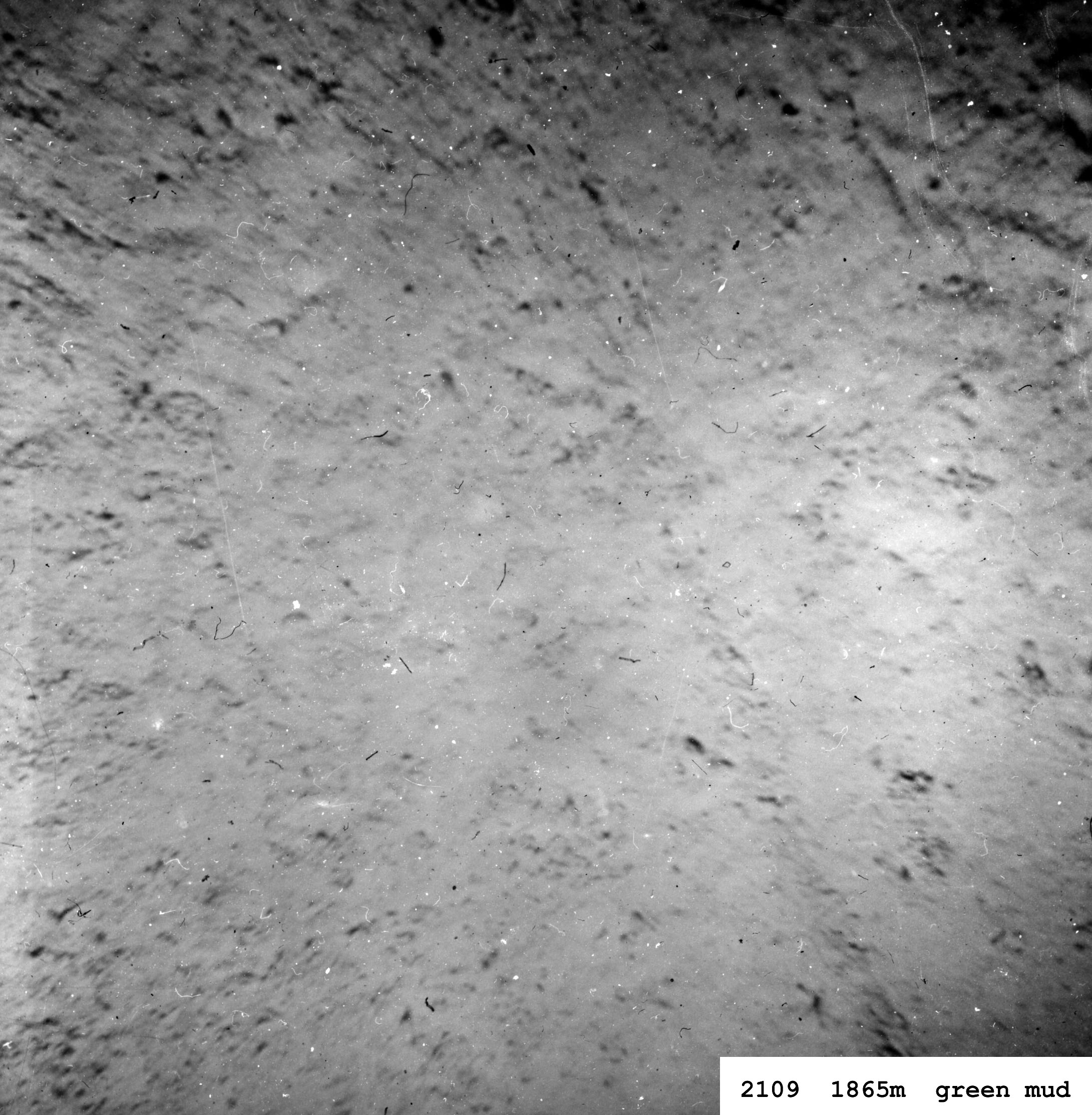 USGS Open-File Report 2006-1046: sea floor Photos