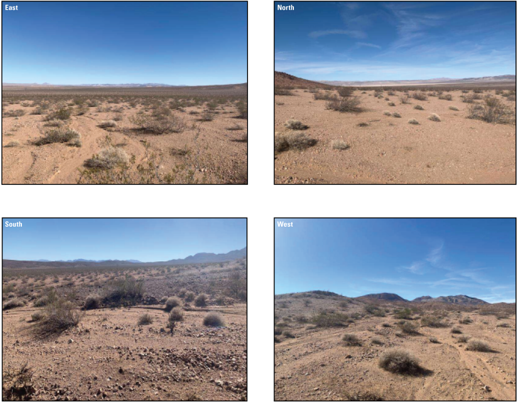 Desert Tortoise translocation plan for the U.S. Department of the Army ...